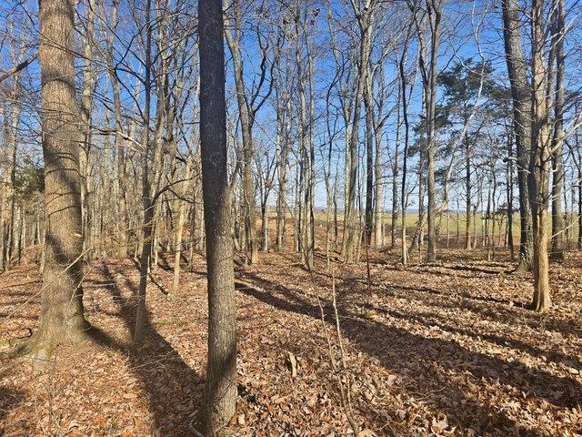 Buckeye Rd, Cumberland City, TN 37050