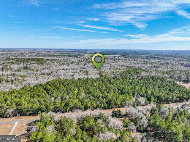 Buckeye Rd, Tennille, GA 31089