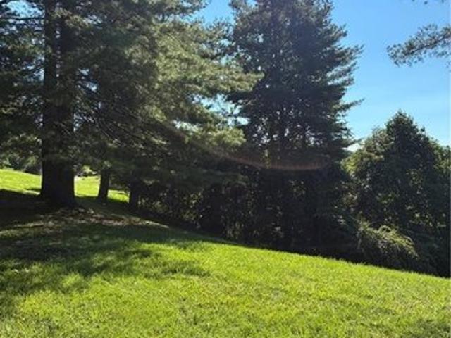 Buckeye Ridge Run, Sparta, NC 28675