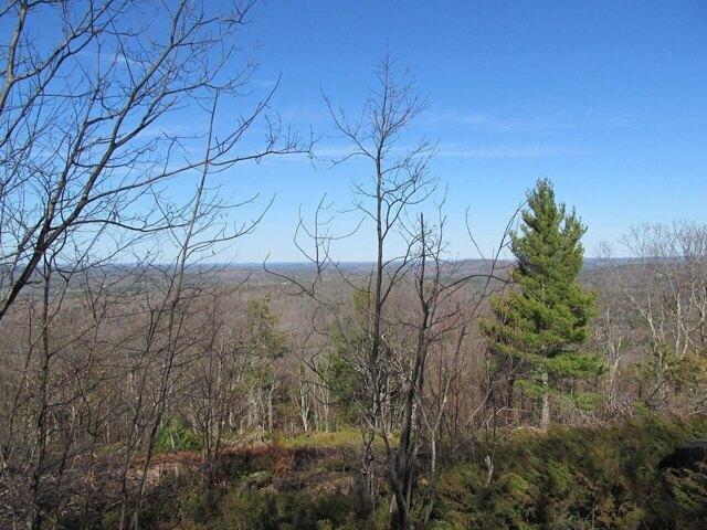 Buckfield ME 04220 102447661