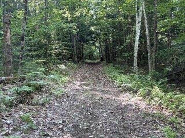 Buckfield ME 04220 103886488