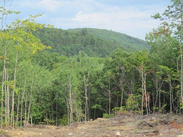 Buckfield ME 04220 LS102158705