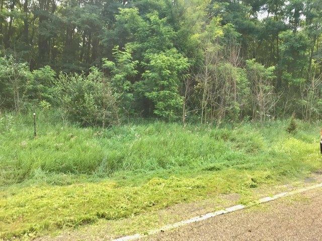 Buckhorn Rd Lot G, Three Rivers, MI 49093