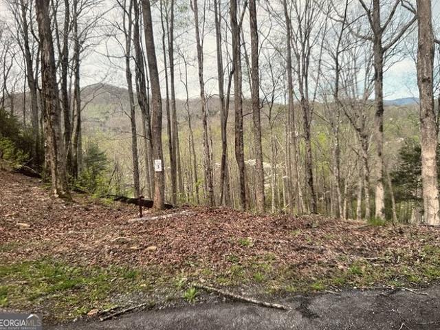 Buckhead Hls Lot 3, Hiawassee, GA 30546