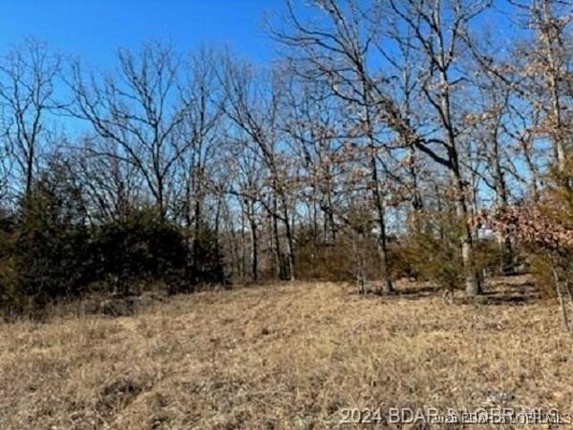 Buckingham Dr, Camdenton, MO 65020