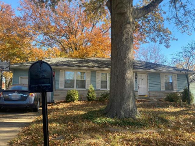 Buckley Meadows Dr