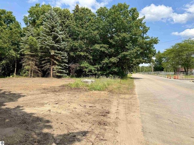 Buckley Lot 29, Elk Rapids, MI 49629