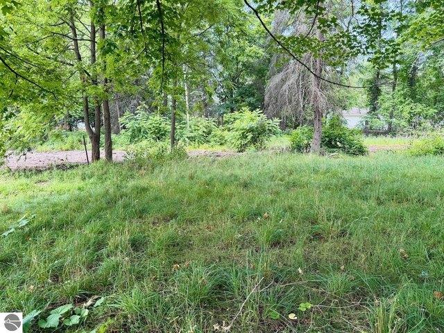 Buckley Lot 33, Elk Rapids, MI 49629