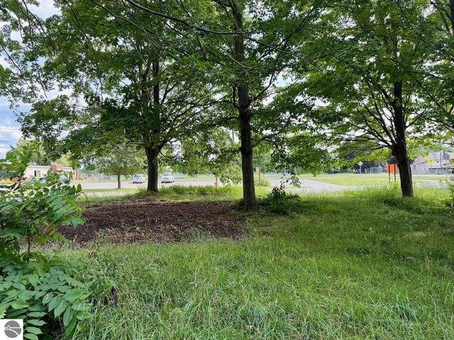 Buckley Lot 30, Elk Rapids, MI 49629