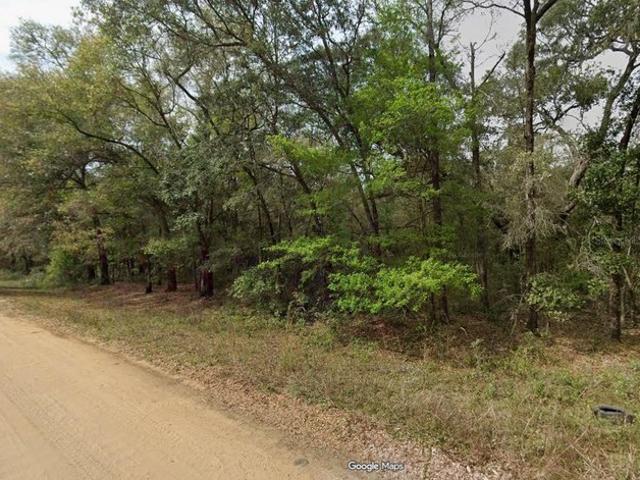 Buckles Ave Unit 7, Interlachen, FL 32148