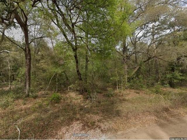 Buckles Ave Units 7 & 8, Interlachen, FL 32148