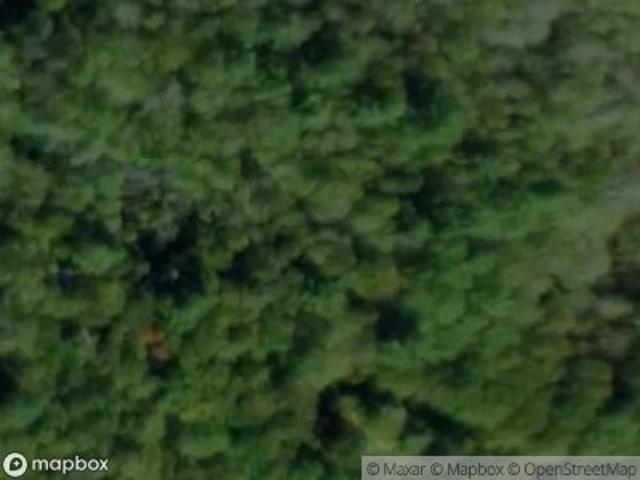 Buckskin Branch Rd
