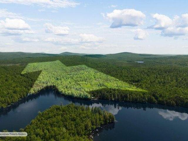 Bucksport ME 04416 104299811