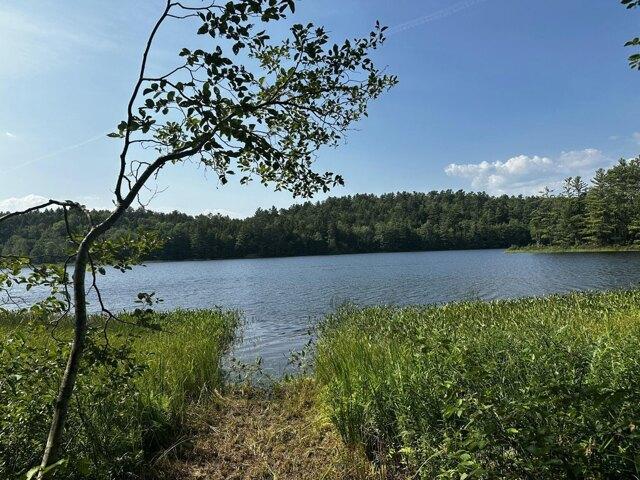 Bucksport ME 04416 102158521