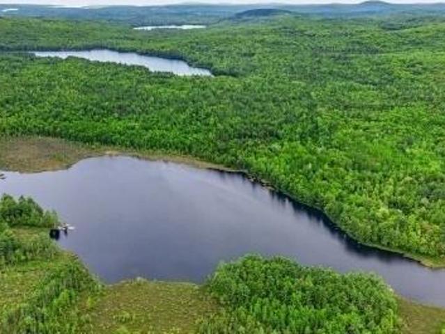 Bucksport ME 04416 103965841