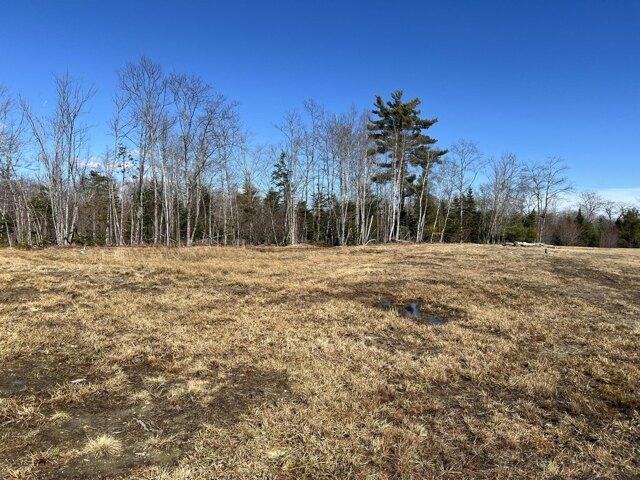 Bucksport ME 04416 LS101934718