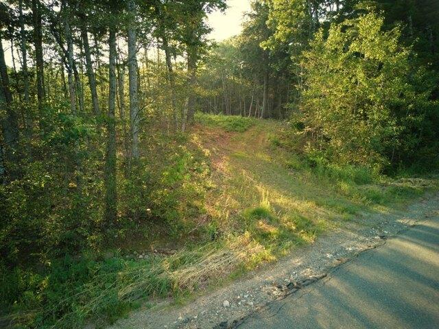 Bucksport ME 04416 LS102445720