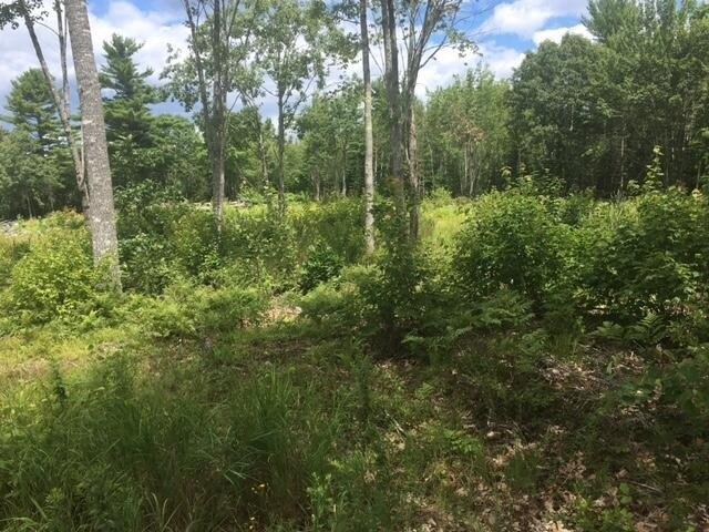 Bucksport Rd, Ellsworth, Plot For Sale