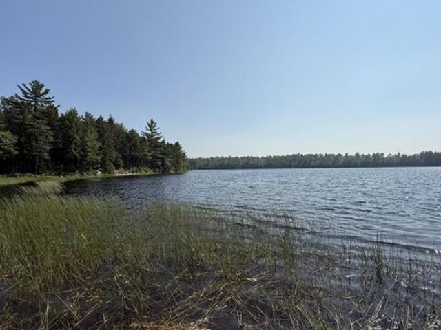 Bucksport Rd Lot,ellsworth, Plot For Sale