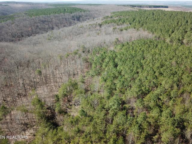 Buckridge Rd, Crossville, TN 38572