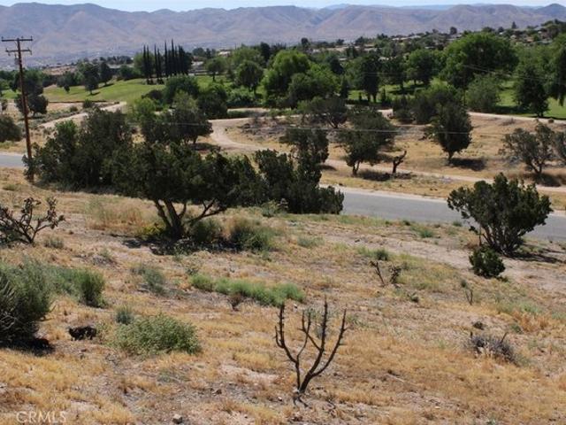 Buckthorn, Hesperia, CA 92345