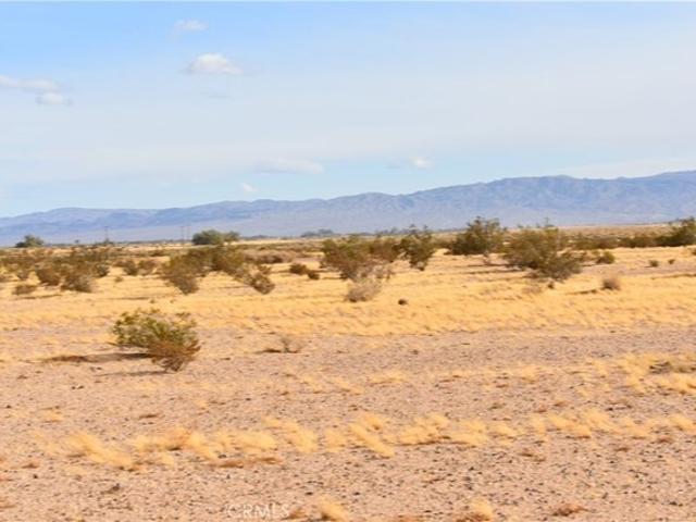 Buckthorne Caynon Rd, Helendale, CA 92301