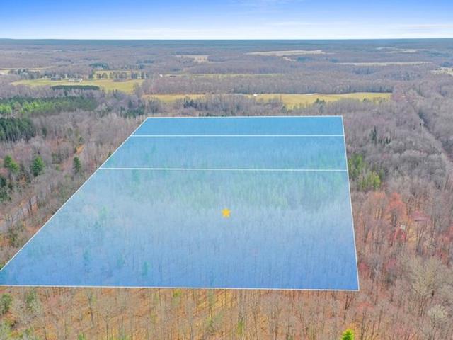 Buettner Rd, White Lake, WI 54491