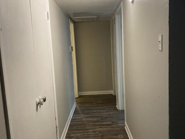 Buena Vida Apartments 2 Bedroom Apartment for Rent at 8221 Scyene Rd, Dallas, TX 75227 Riverway Estates Bruton Terrace