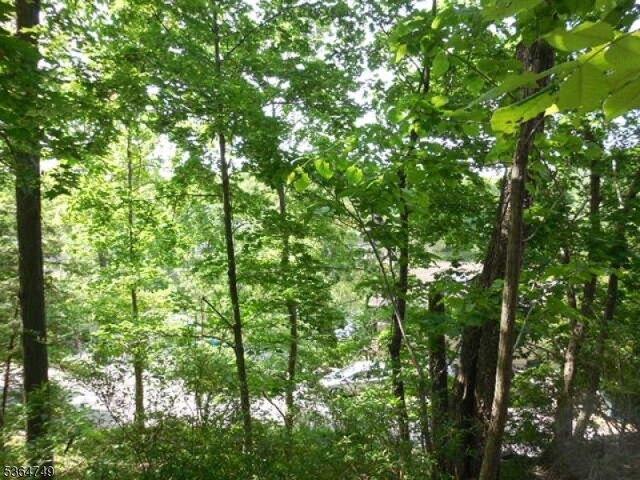 Buena Vista Way, Bloomingdale, Plot For Sale
