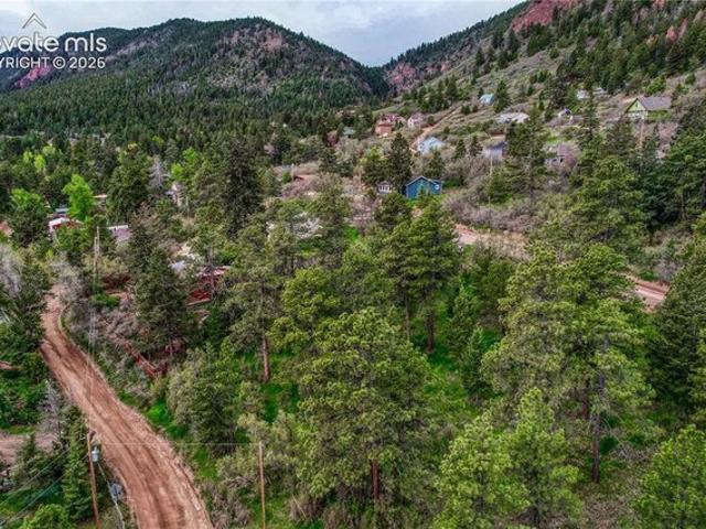Buena Vista Ave, Palmer Lake, CO 80133