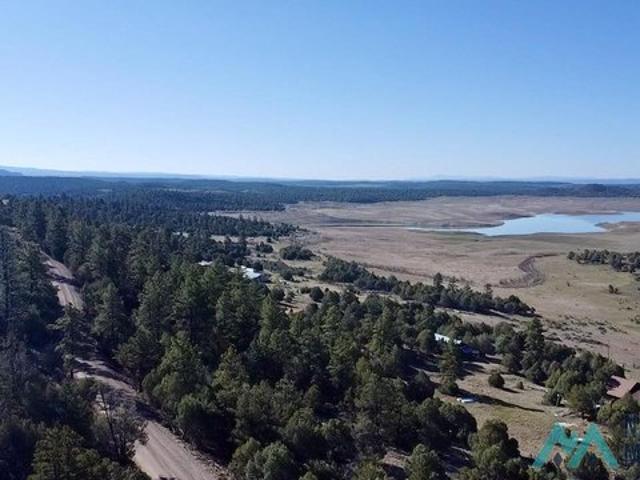 Buena Rd, Rutheron, NM 87551