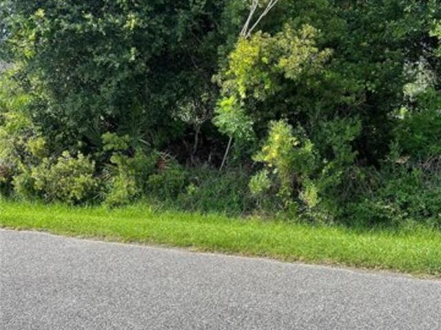 Buffalo Meadow Ln, Palm Coast, Plot For Sale