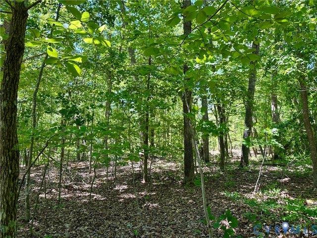 Buffalo Church Rd Lot 6, Pamplin, VA 23958