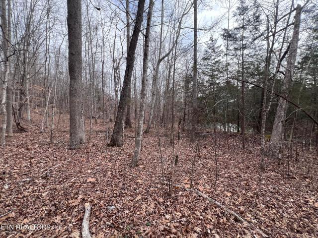 Buffalo Cove Lane, Jamestown, TN 38556