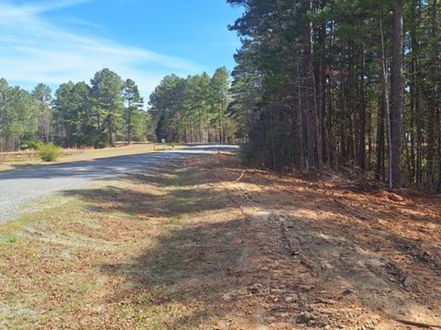 Buffalo Dr Lot 1 3, Buffalo Junction, VA 24529