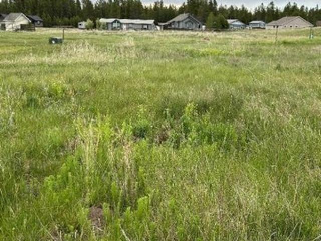 Buffalo Dr, West Yellowstone, MT 59758