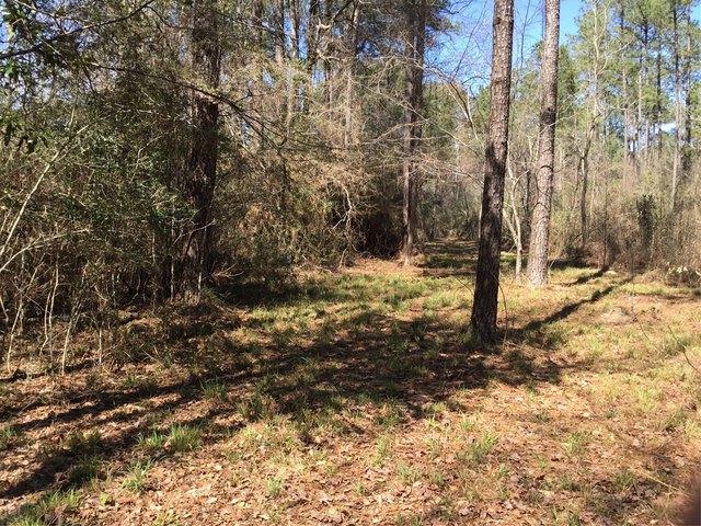 Buffalo Ln, Silsbee, TX 77656