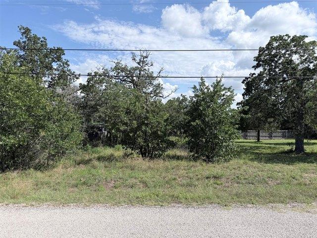 Buffalo Run, Bastrop, TX 78957