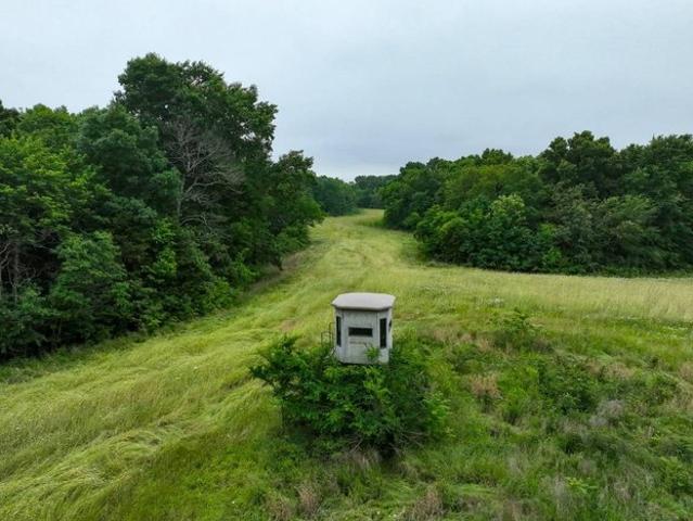 Buffalo Rd, New Concord, KY 42076