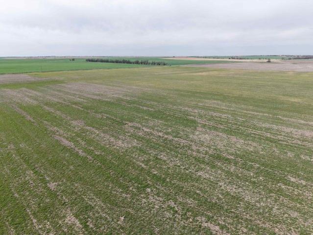 Buffalo Rd, Solomon, KS 67480