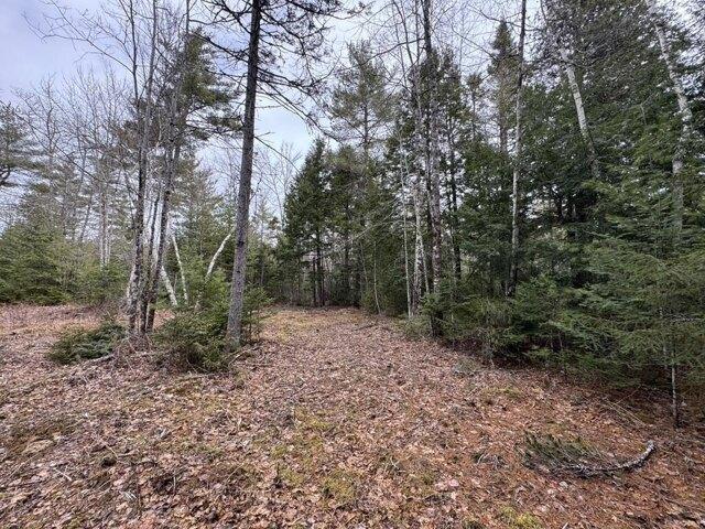 Bufford Dr, Waltham, Plot For Sale