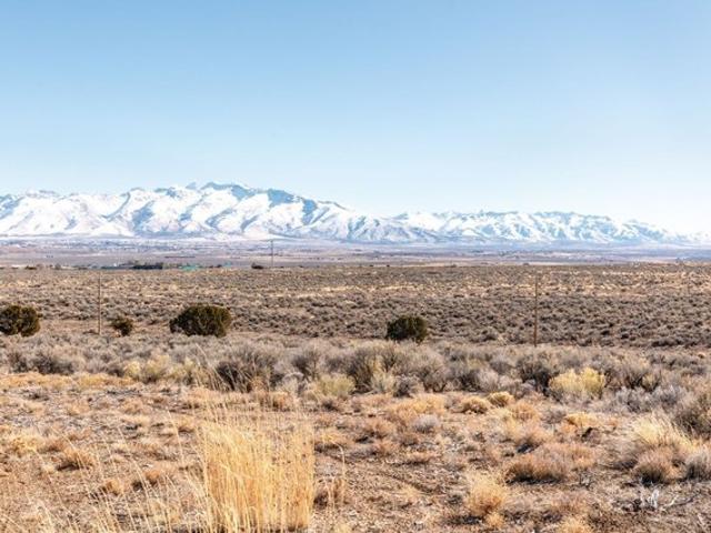 Buffside Dr, Spring Creek, NV 89815
