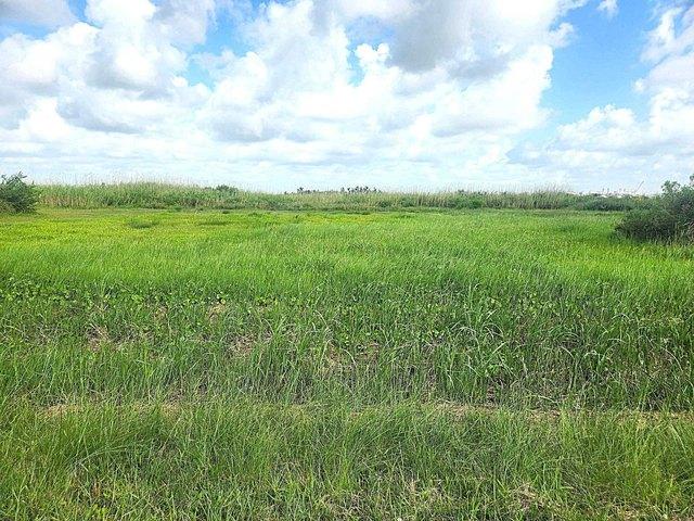 Buford, Sabine Pass, TX 77655