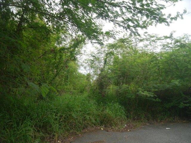 Bugby Hole Co, Saint Croix, Plot For Sale