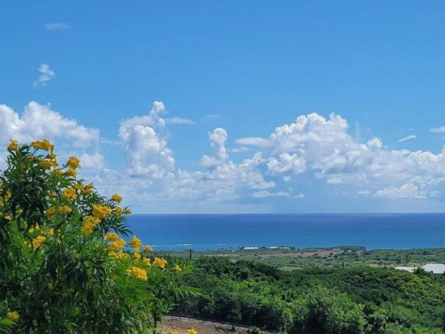 Bugby Hole Co, Saint Croix, Plot For Sale