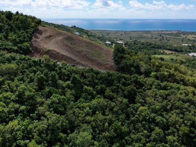 Bugby Hole Co, Saint Croix, Plot For Sale