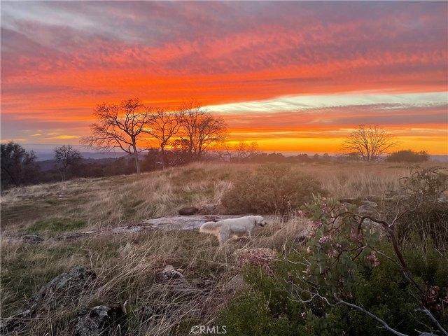 Buggy Whip Dr, Coarsegold, CA 93614