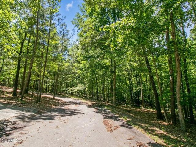Buggy Dr W, Carthage, NC 28327
