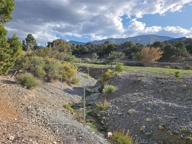 Bugling Bull Rd, Cold Creek, NV 89124