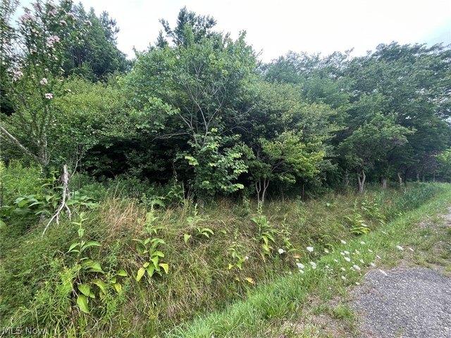 Buie Rd, Kingsville, OH 44048